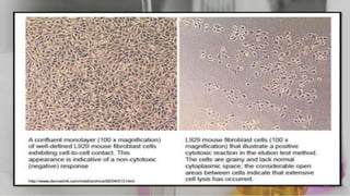 Application of in-vitro drug testing in animal cell culture | PDF