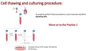 Cell Culture Workshop YD.pptx