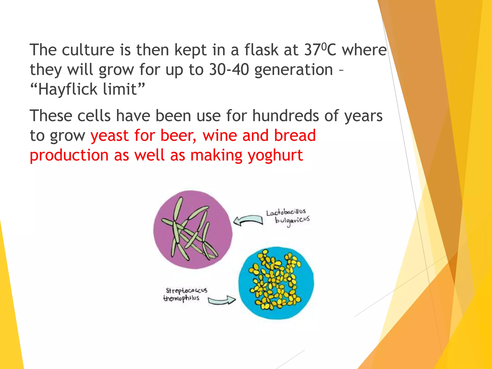 Cell culturing | PPT