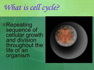 cell cycle and mitosis | PPT