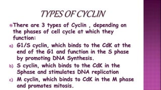 Cell cycle and it's checkpoints | PPT