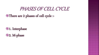 Cell cycle and it's checkpoints | PPT