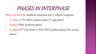 Cell cycle and it's checkpoints | PPT