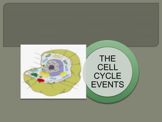 Cell Cycle | PPTX