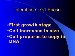 Cell cycle | PPT