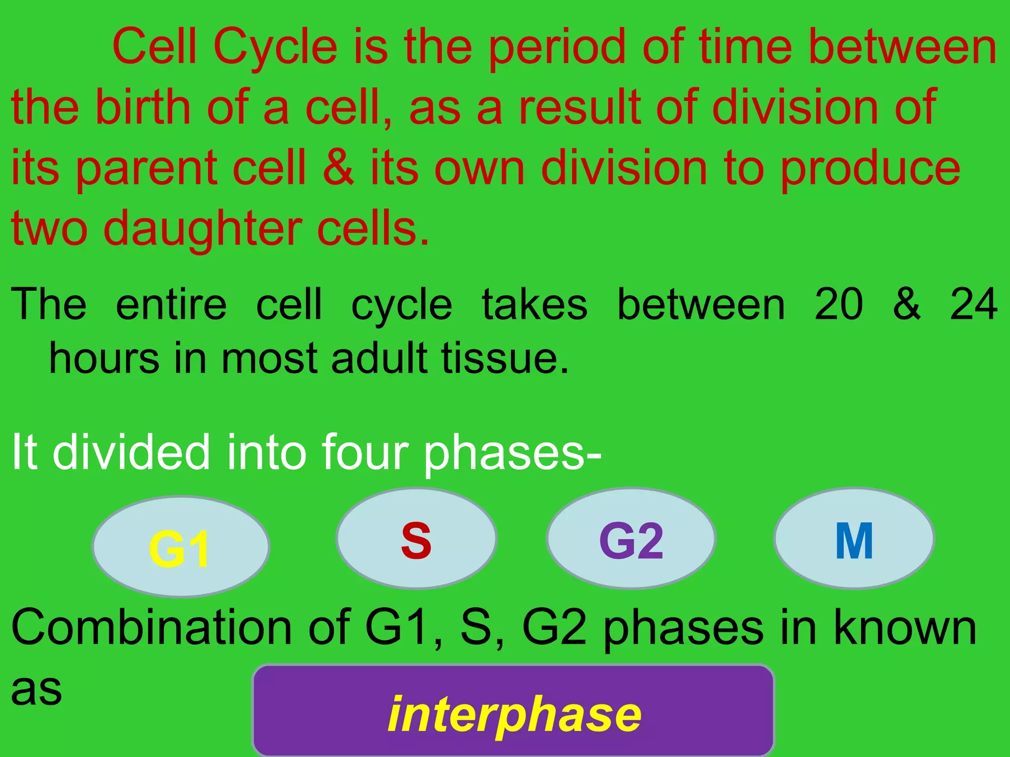 Cell cycle | PPT