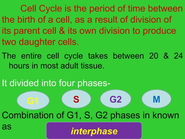 Cell cycle | PPT