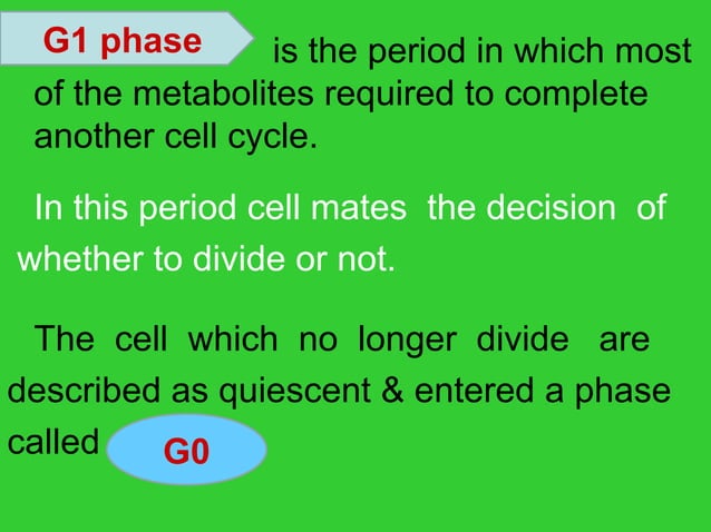 Cell cycle | PPT