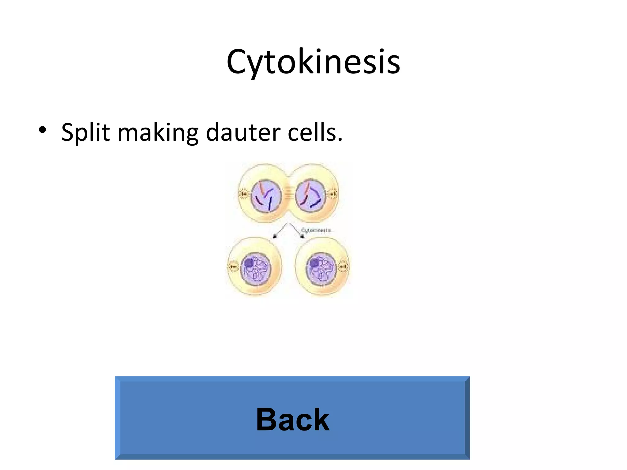 Cell Cycle | PPT