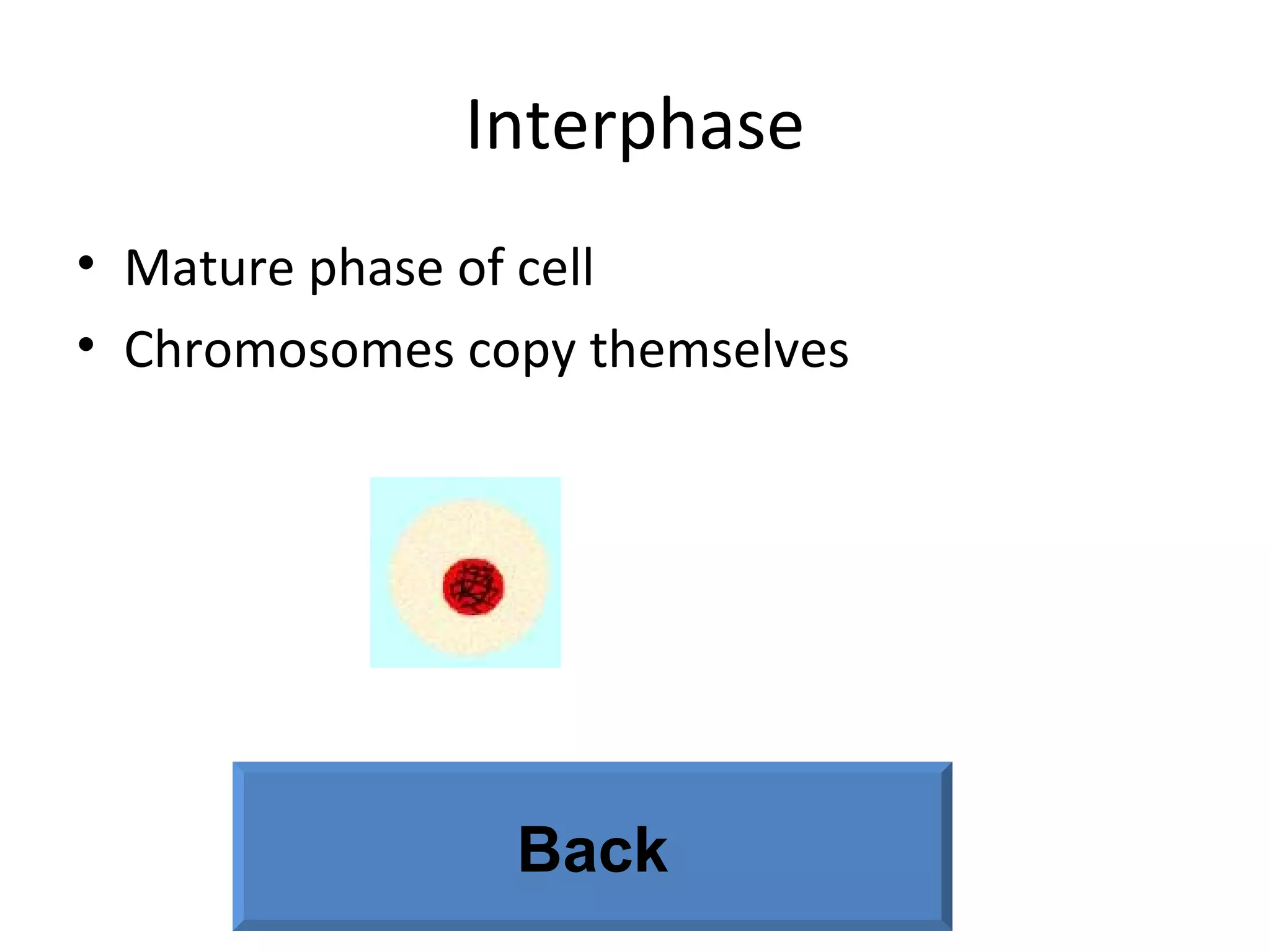 Cell Cycle | PPT