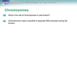 Cell cycle | PPT