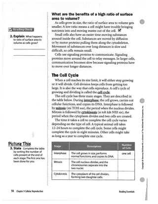 Cell cycle | PDF | Biological Sciences | Science