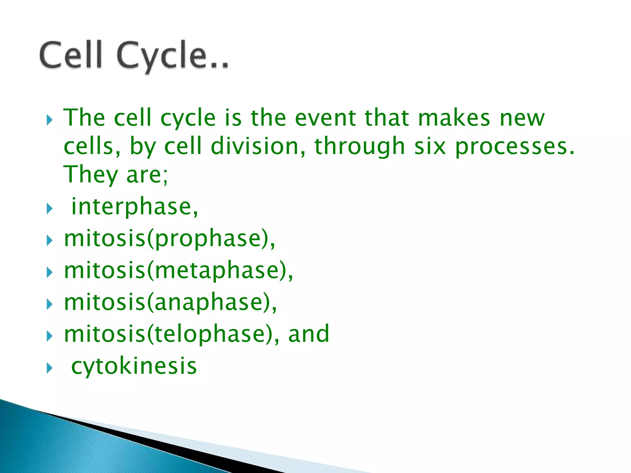 Cell Cycle and Cell Division | PPTX