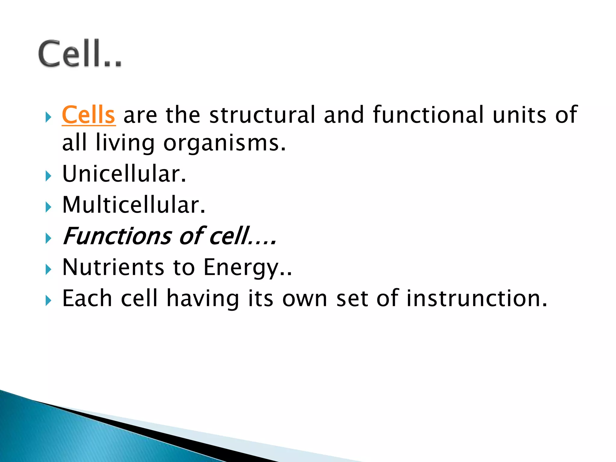 Cell Cycle and Cell Division | PPTX