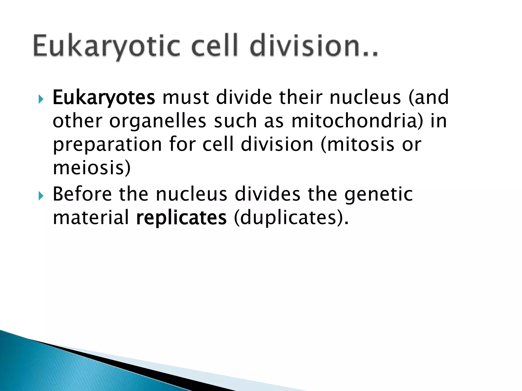 Cell Cycle and Cell Division | PPTX