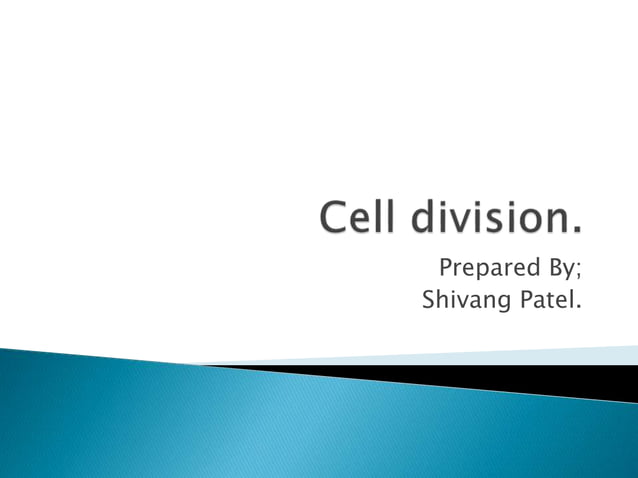 Cell Cycle and Cell Division | PPTX | Biological Sciences | Science