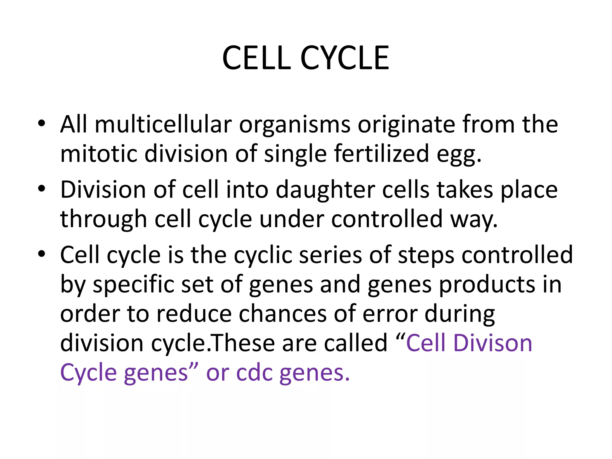 Cell cycle | PPT