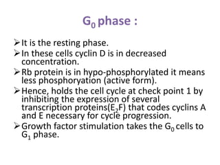Cell cycle | PPT