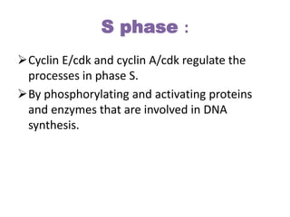 Cell cycle | PPT