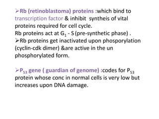 Cell cycle | PPTX