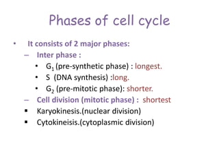 Cell cycle | PPT