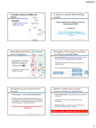 Cell cycle | PDF