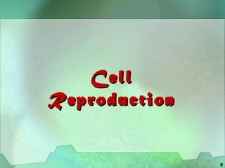 Cell cycle... Cell Reproduction | PPT
