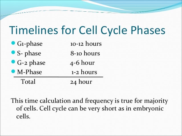 Cell cycle. sgd[1]