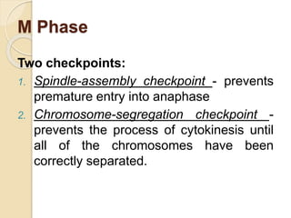Cell cycle (Without Mieosis) | PPTX