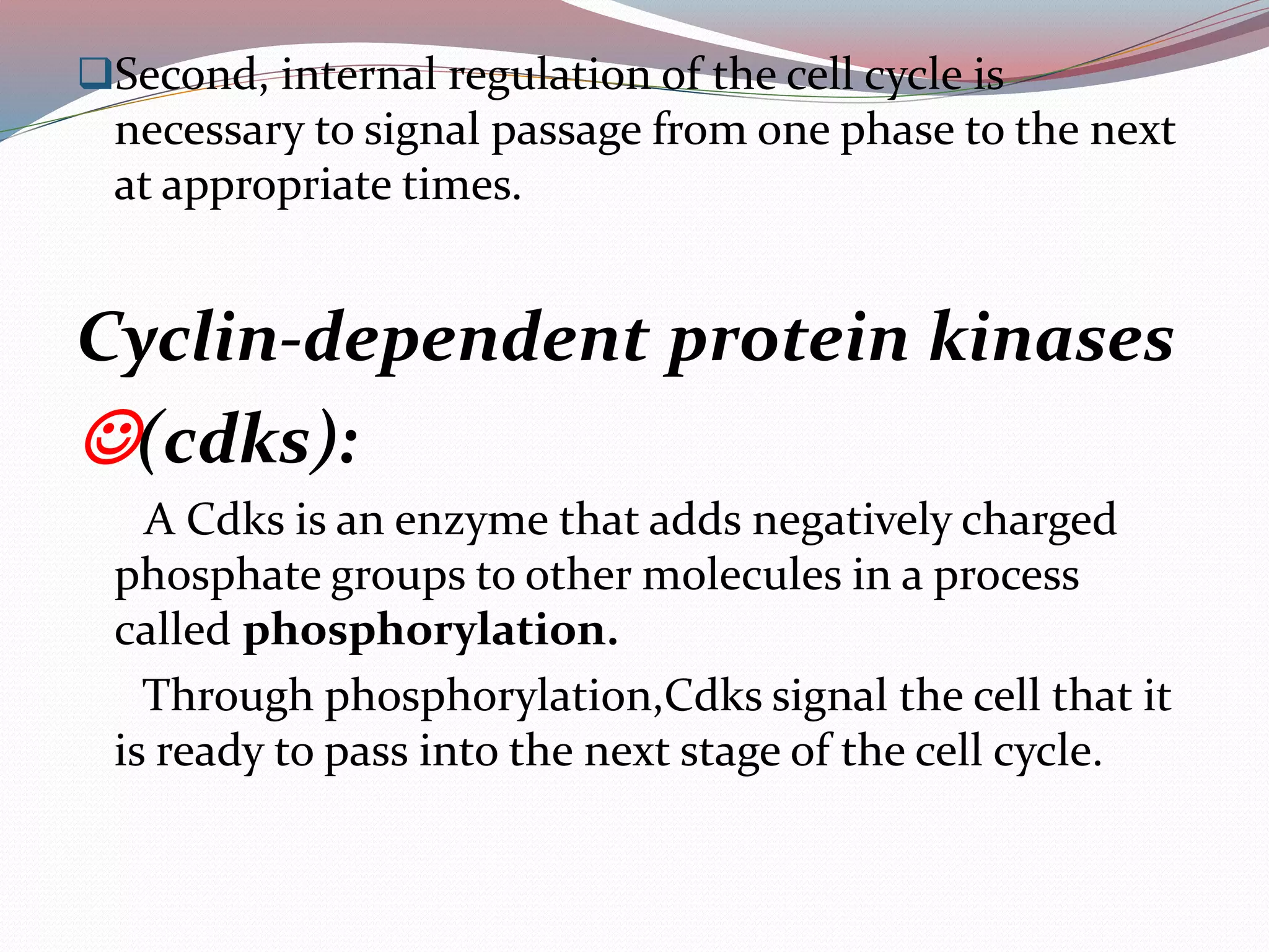 Cell cycle and control of cell division. | PPTX