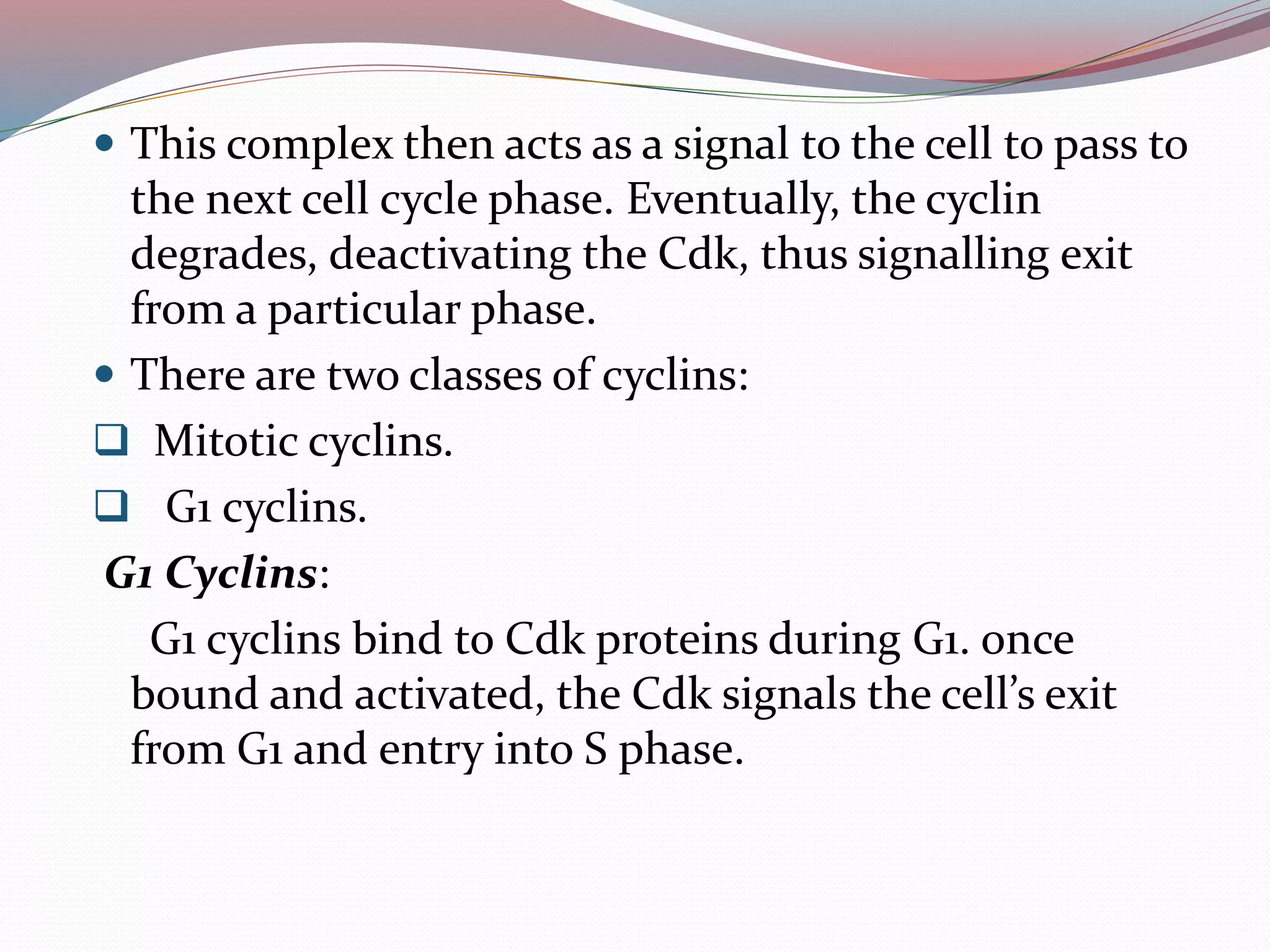 Cell cycle and control of cell division. | PPTX