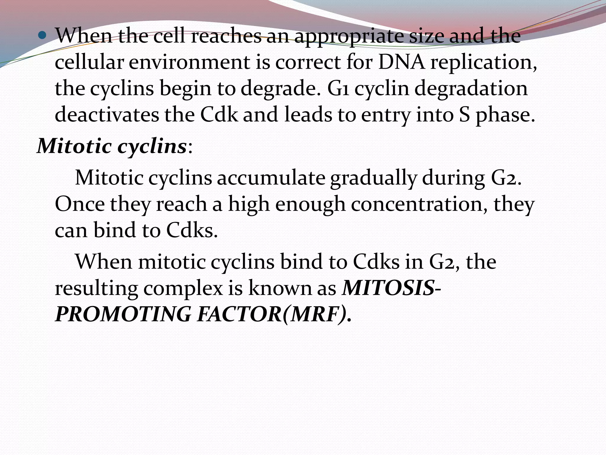 Cell cycle and control of cell division. | PPTX