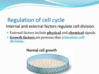 Cell cycle,growth regulation ,molecular basis of cancer by dr.Tasnim | PPTX