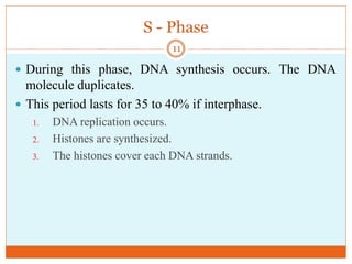 Cell cycle | PPTX