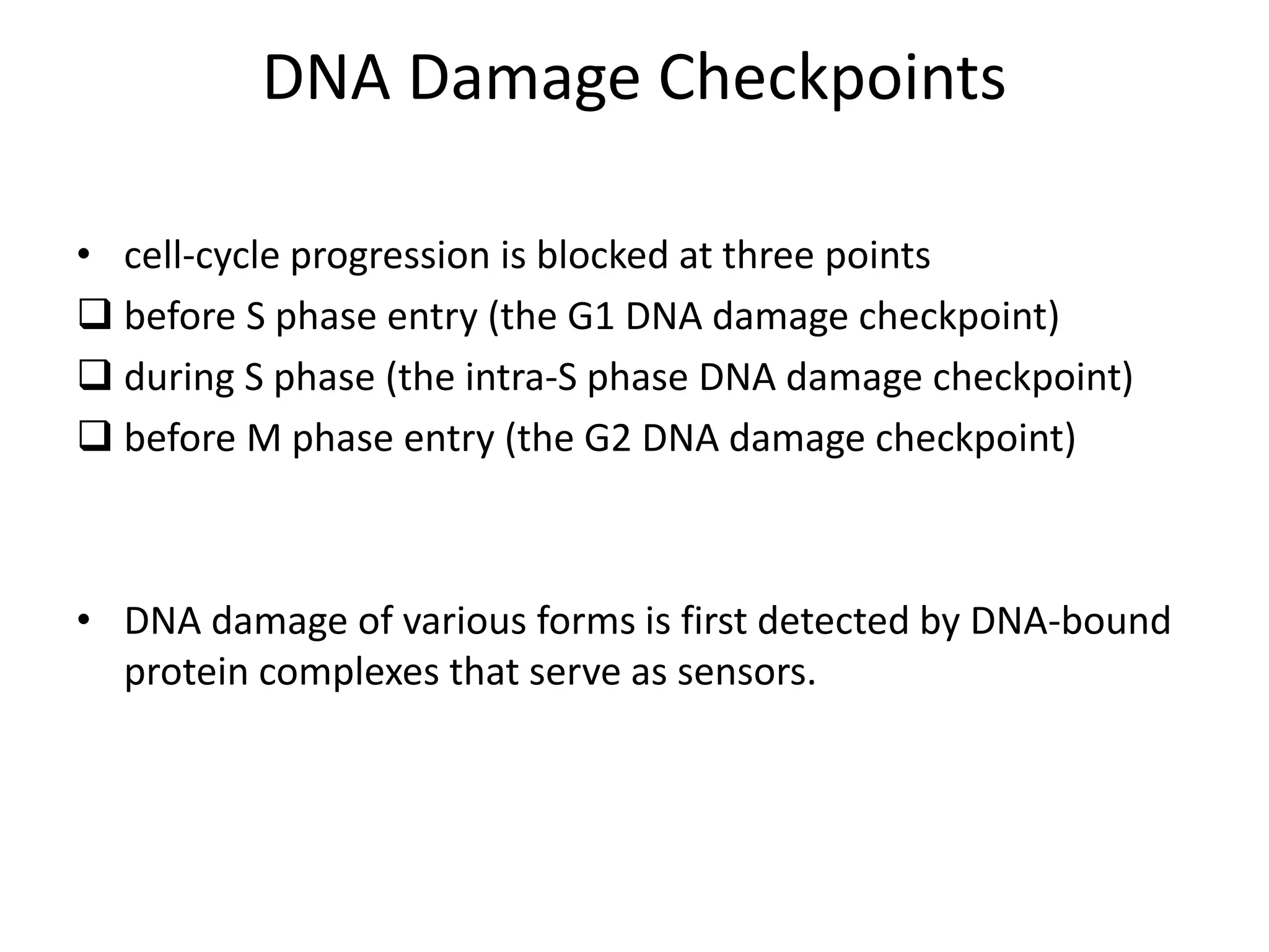 Cell cycle and tumor kinetics | PPTX