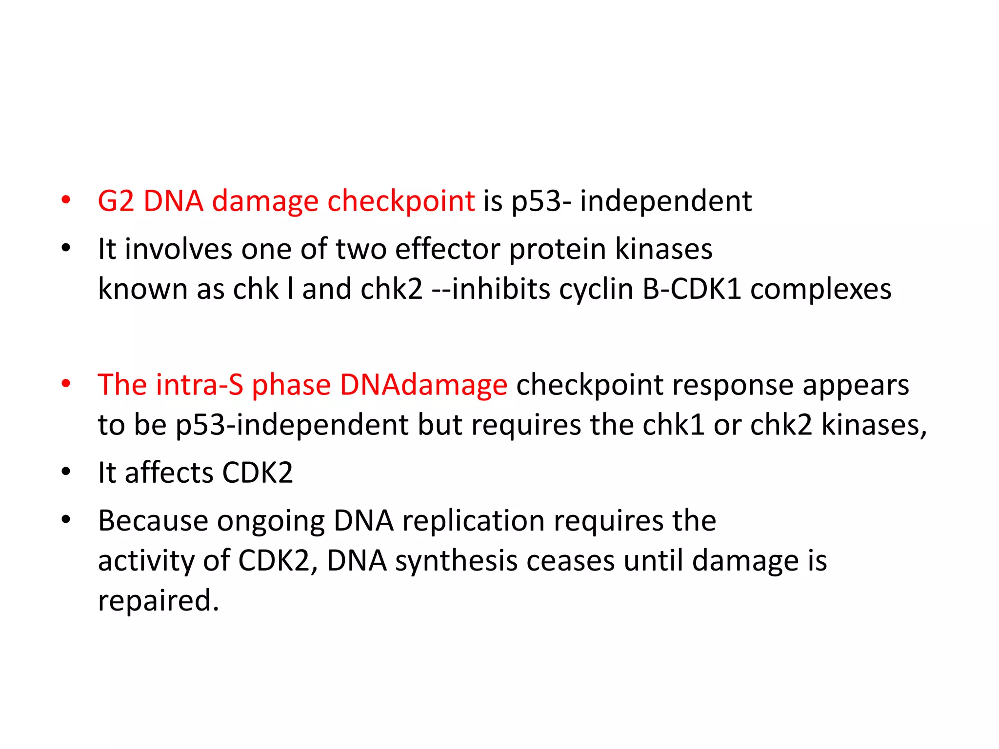 Cell cycle and tumor kinetics | PPTX