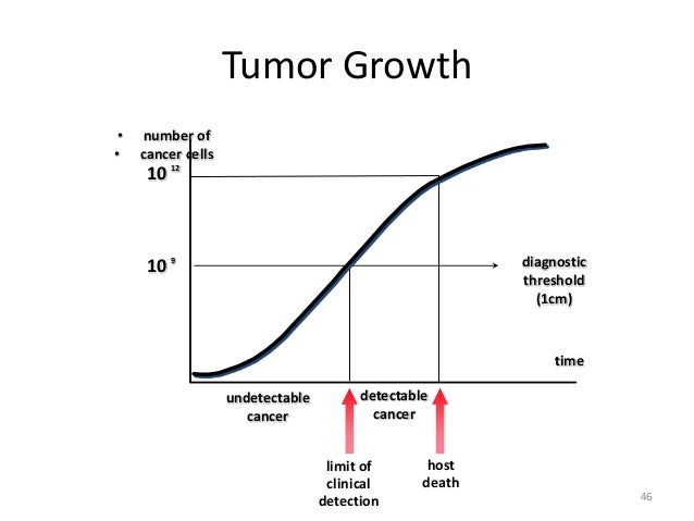 Cell cycle and tumor kinetics