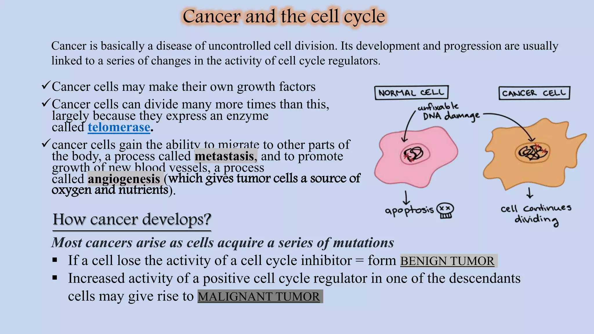 Cell cycle | PPTX