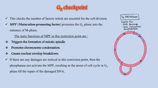 Cell cycle | PPTX