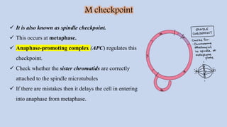 Cell cycle | PPTX