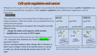 Cell cycle | PPTX