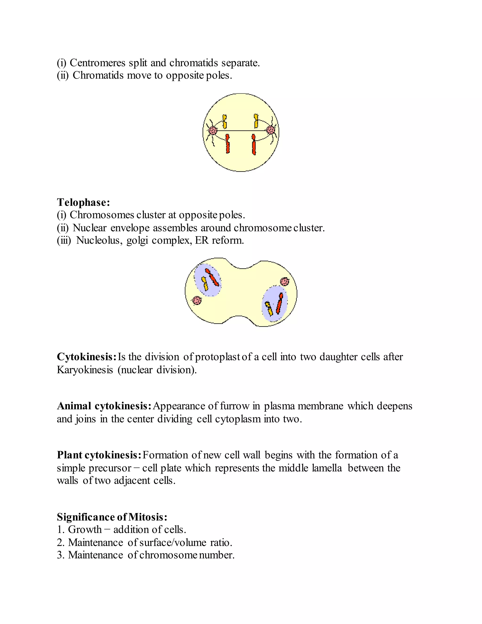 Cell cycle | PDF