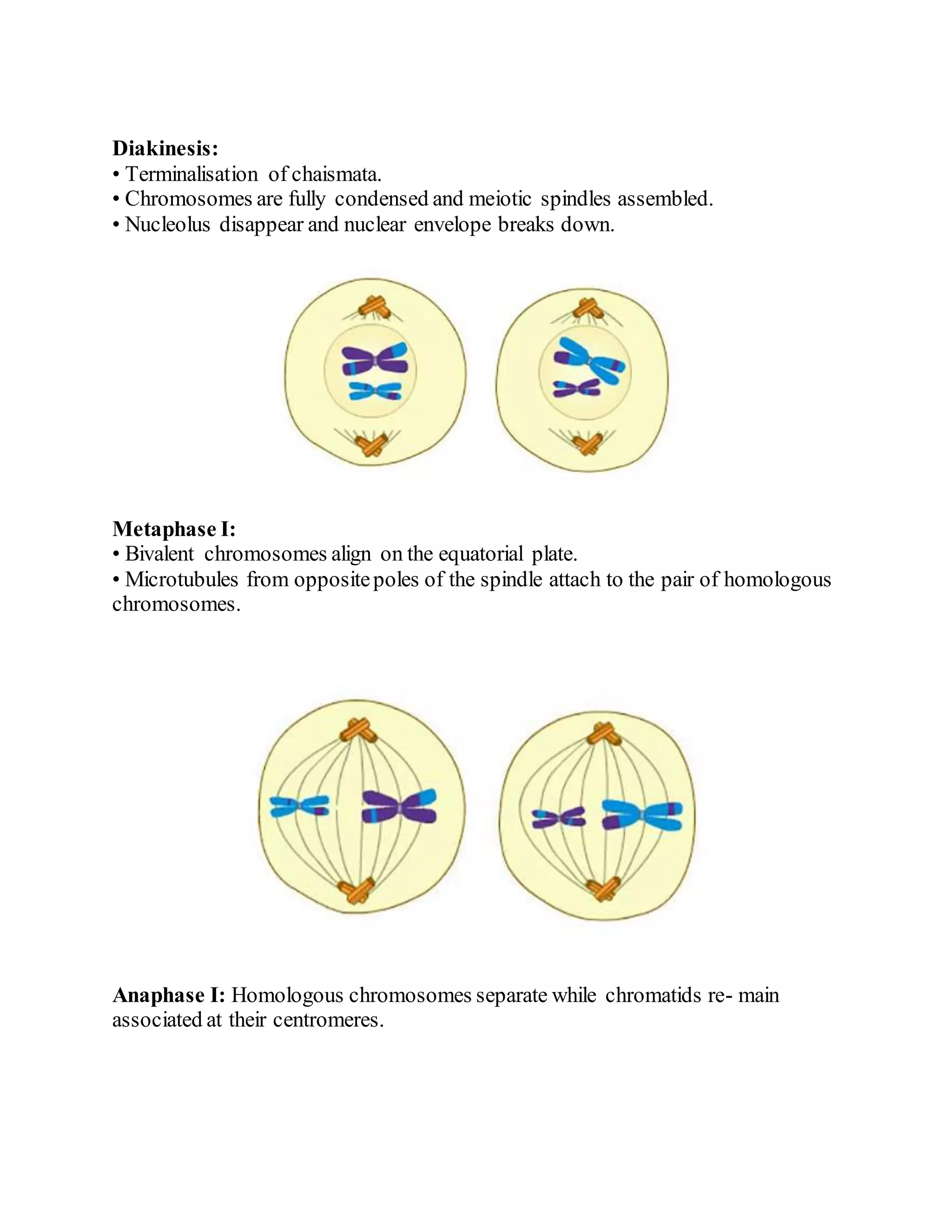 Cell cycle | DOCX
