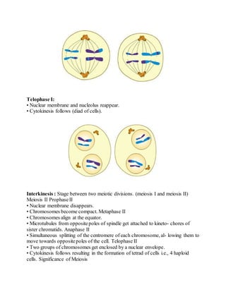 Cell cycle | DOCX