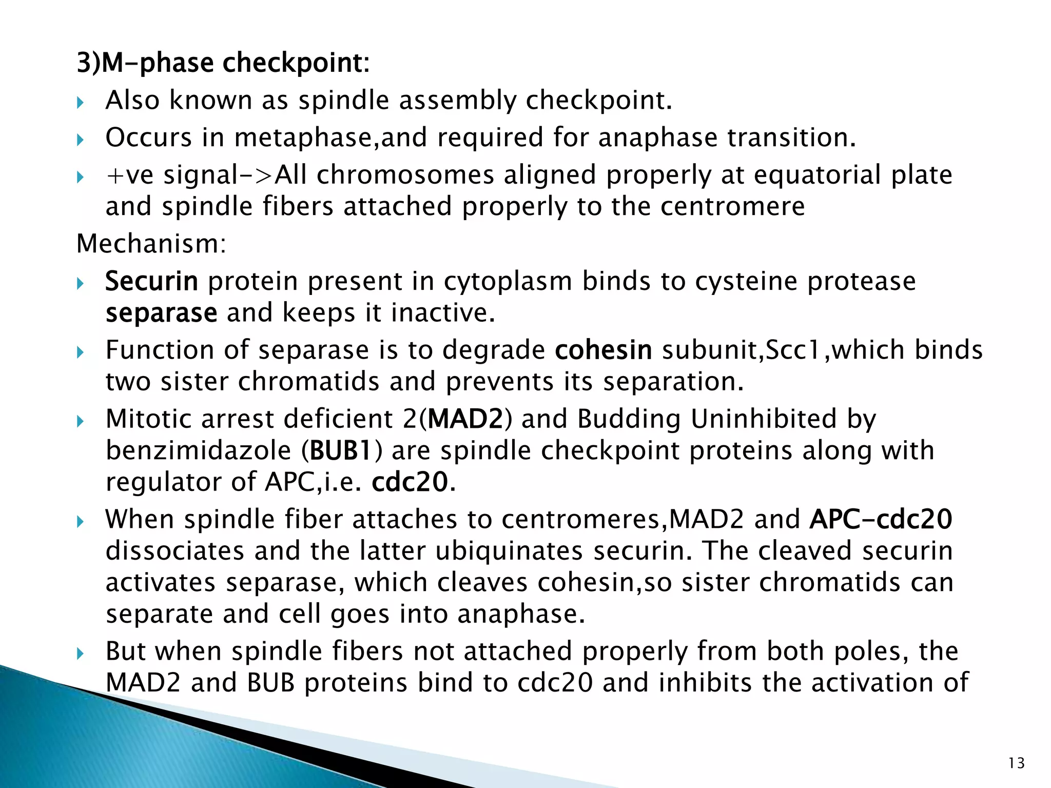 Cell cycle regulation and checkpoints | PPTX