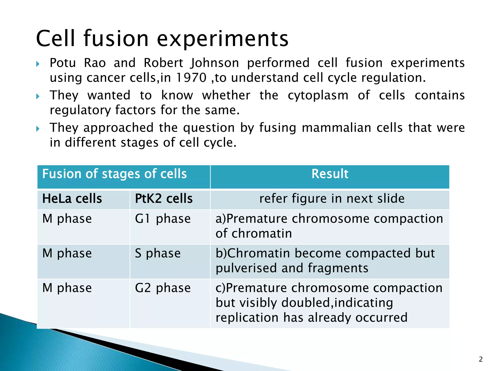 Cell cycle regulation and checkpoints | PPTX