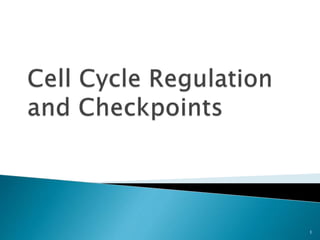 Cell cycle regulation and checkpoints | PPTX