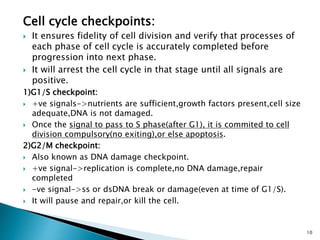 Cell cycle regulation and checkpoints | PPTX