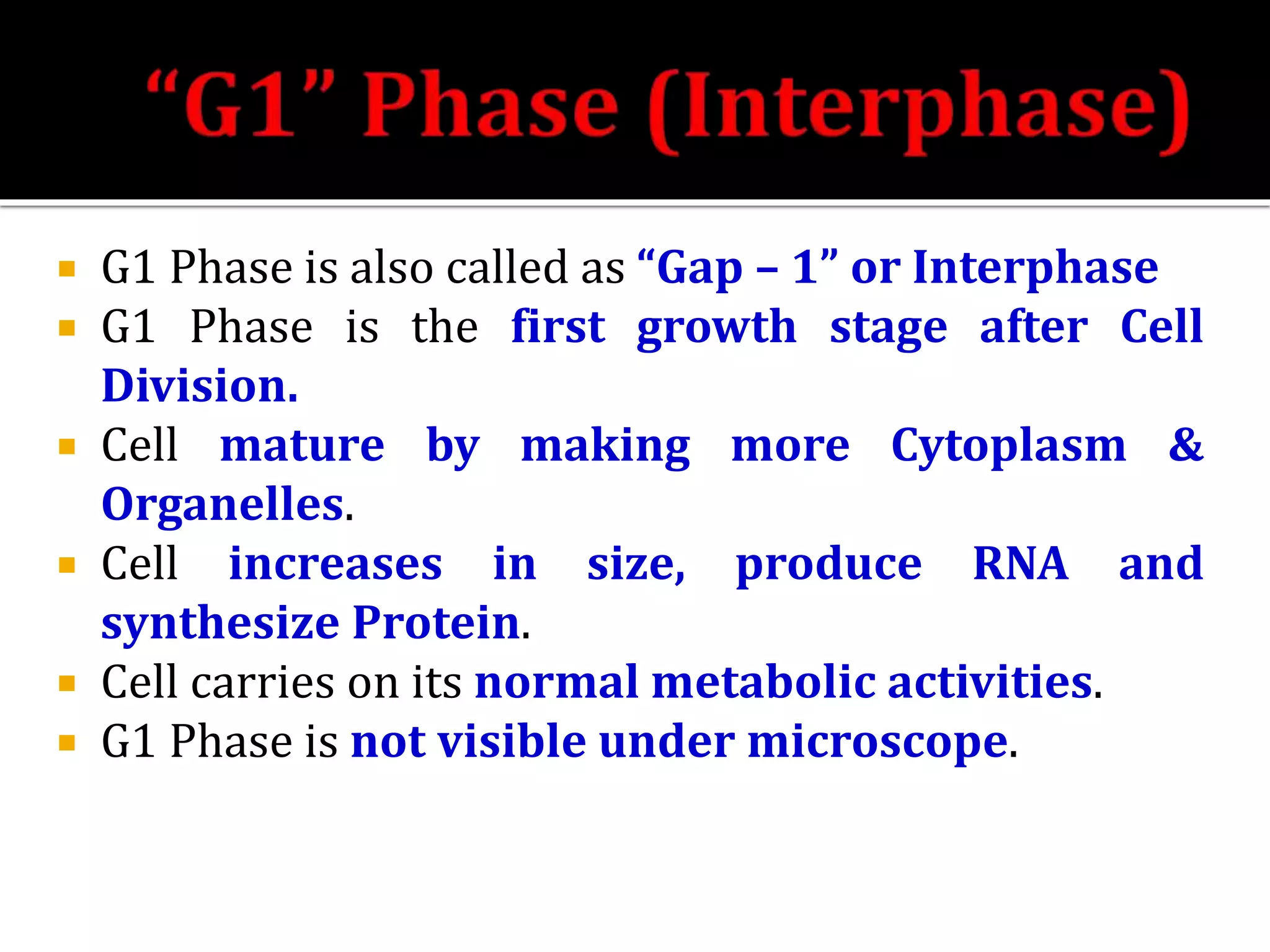 Cell Cycle | PPTX