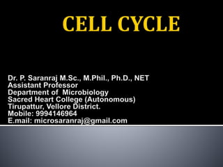 Cell Cycle | PPTX